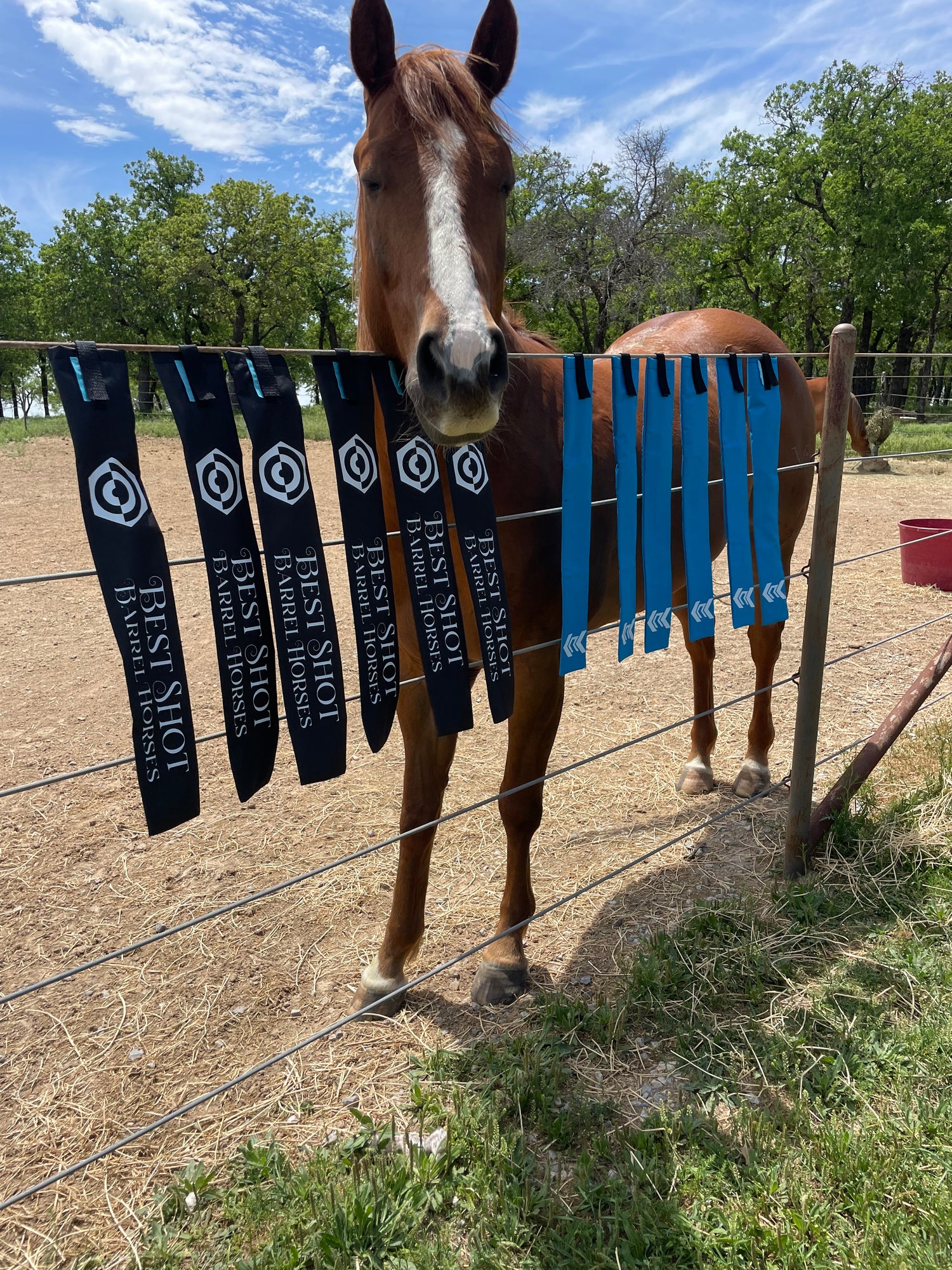 Customized Tail Bags – Classy Tails Co. Custom Tail Bags